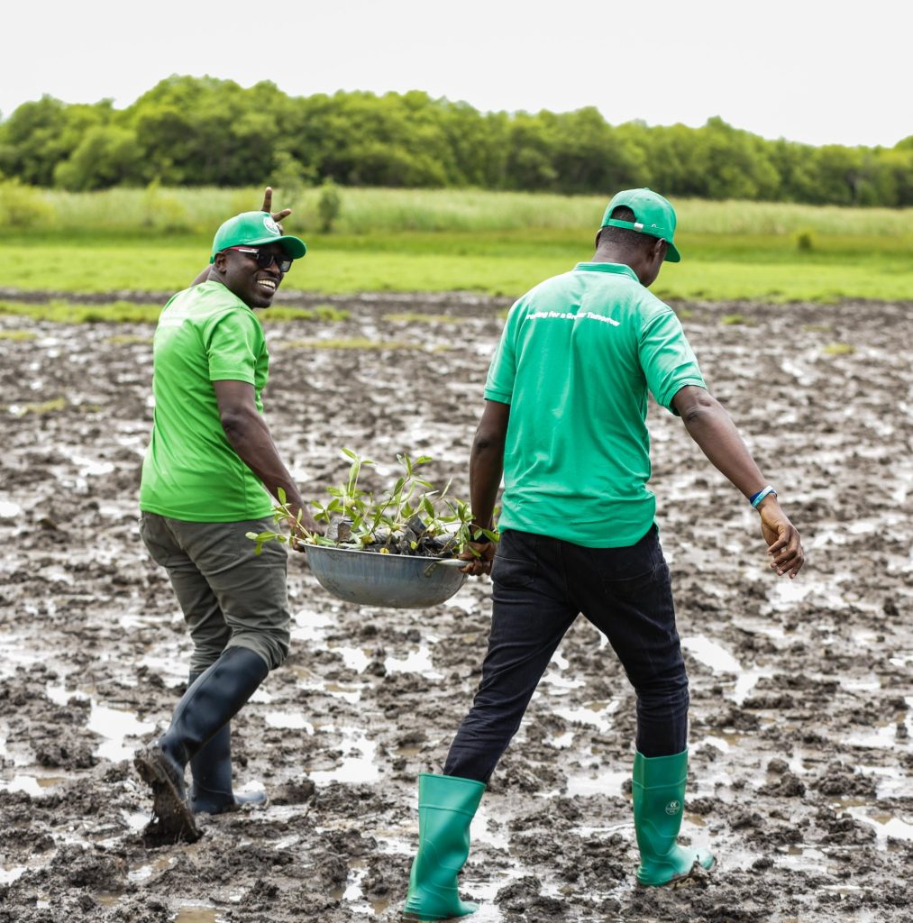 Green Ghana Day 2024 – 2,000 Mangrove Seedlings Planted – PLIG